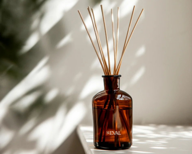 Contact – Angela Reed