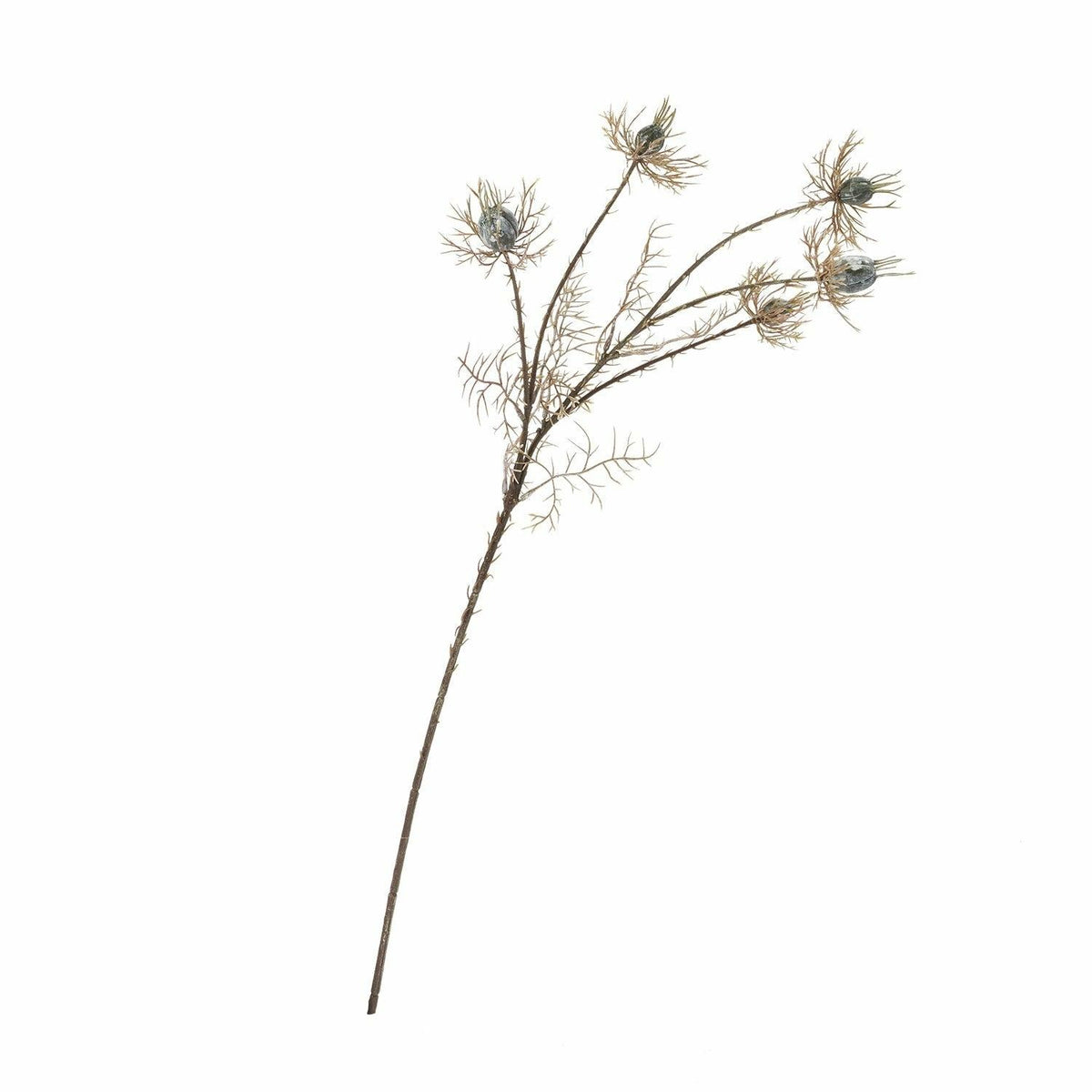 Nigella Demascena – Angela Reed